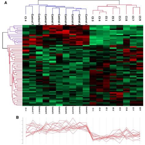 Hierarchical Clustering Analysis Of 65 Proteins With Q Values