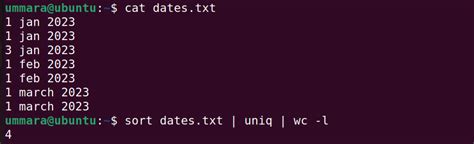 How To Use The Wc Command In Linux With Examples Linux Genie