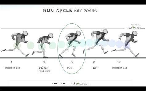 Tutorial How To Create A Run Cycle Run Cycle Animation Reference