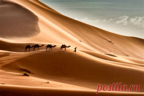 Какая толщина у песка в пустыне Самые большие дюны на Земле С другог ПРИРОДА Постила