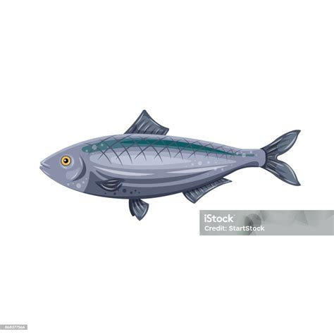 벡터 아이콘 평면 청에 격리 된 흰색 배경에 물고기 해양 식품 0명에 대한 스톡 벡터 아트 및 기타 이미지 0명 노랑 디자인 Istock