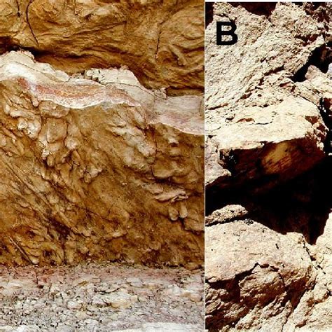 Left The Position Of The Deposition Of Molasse And Flysch Facies