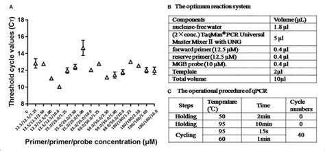 The Optimum Reaction Condition For Qpcr A Influence Of Different Download Scientific
