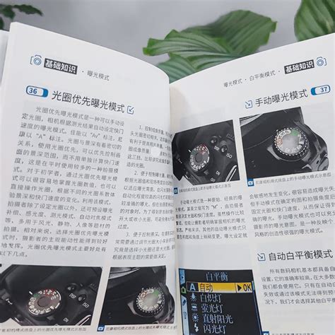 长焦镜头适合拍什么？教科书般解析，小白必看，绝绝子！ 长焦 淘宝百科网