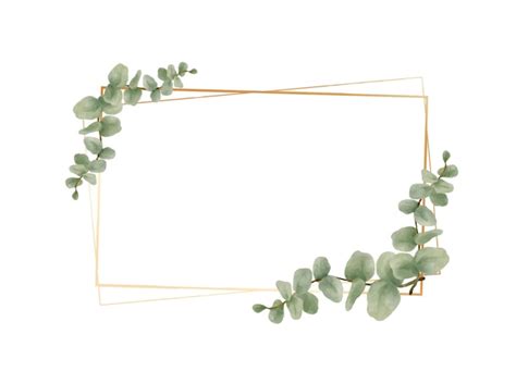 Eucalyptus Border Vectors And Illustrations For Free Download Freepik