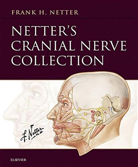 Netters Cranial Nerve Collection Netter Basic Science Frank H Netter İthal Kitaplar