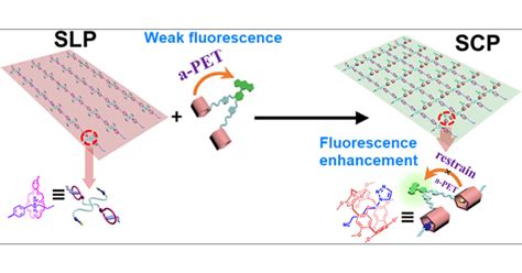 Hostguest Interactions Induce Supramolecular Assembly And Inhibit Electron Transfer To Enhance