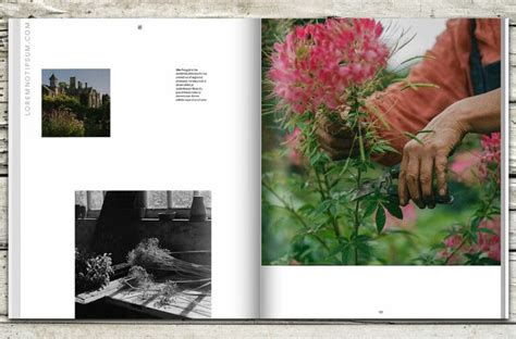 Hole And Corner Issue 20 The Refocus Issue Buy At Lorem Not Ipsum