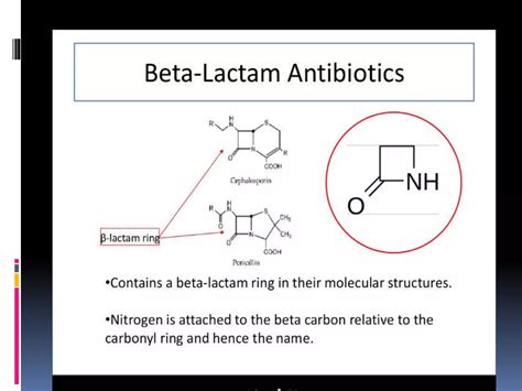Beta Lactam Antibiotics Pptx