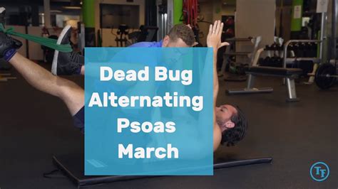 How To Do A Dead Bug Alternating Psoas March TurnFit Method
