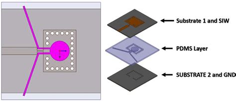 Layout Of The Proposed Siw Resonator Download Scientific Diagram