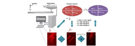 Part Of The Algorithm Pixel By Pixel Processing Download Scientific