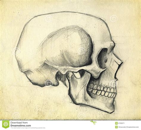 Skeleton Head Sketch At PaintingValley Com Explore Collection Of Skeleton Head Sketch