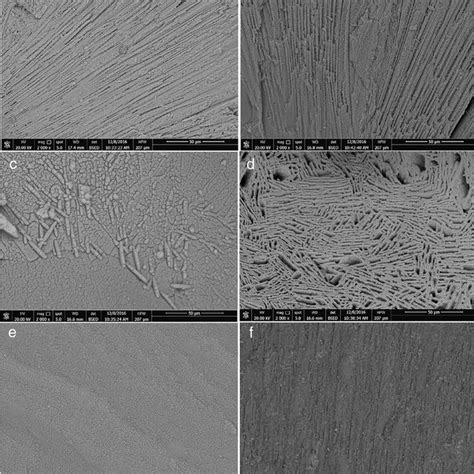 The X Ray Diffraction Patterns Of The Glass Ceramic Samples Download Scientific Diagram