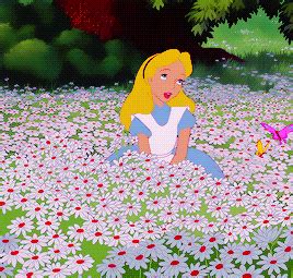 Alice In Wonderland  Ice
