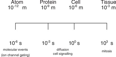 Tlss Involved In Our Model 36 Download Scientific Diagram