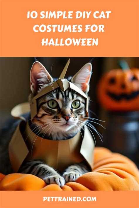 10 Simple Diy Cat Costumes For Halloween Pet Trained