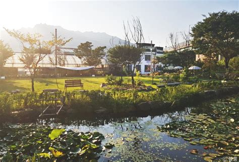 카페블룸 음식점 정보와 주변 관광 명소 및 근처 맛집 여행 정보