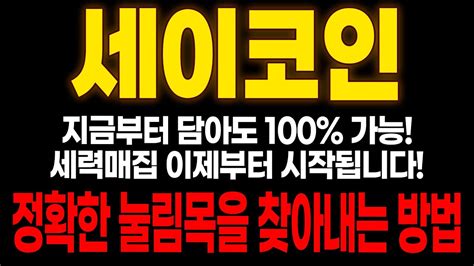 급등임박 코인추천 이 코인 세이코인 전망 분석 지금부터 담아도 100이상 가능 세력매집은 이제부터 시작됩니다 정확한