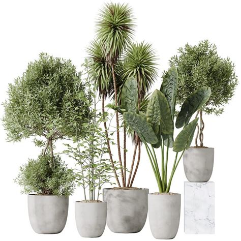 Av Indoor Plants Set 184 386191 3d Model Download 3d Model Av