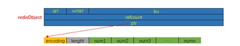 图解redis 04 Set数据类型的原理及应用场景redis Set原理 Csdn博客