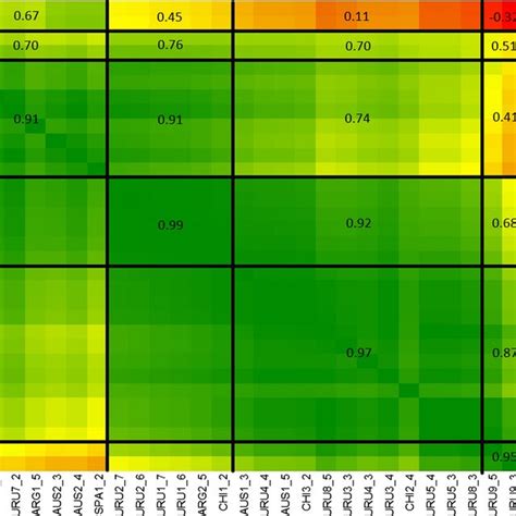 Matrix Of Pair Wise Genetic Correlations With Clustering Between Each Download Scientific