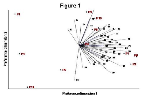 Internal Preference Mapping