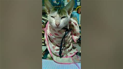 නිදිමතයි 😌😴😴 මගේ යාළුවනේ ඔයාලට සුභ රාත්‍රියක් 😍😍 Youtube