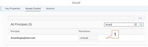 Explore Sap Btp Dms Rest Apis