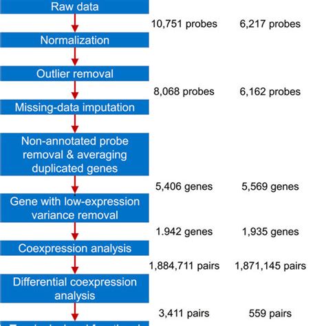 Overview Of Differential Coexpression Analysis Pipeline The Order Of