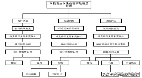 孙岗初级中学突发事件应急处置流程 六安市叶集区人民政府