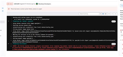 Gitlab Shared Runner ERROR Cannot Link To A Non Running Container
