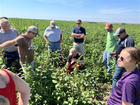 Soil Aggregate Stability Is A Foundation Of Soil Health Lafayette Ag Stewardship Alliance