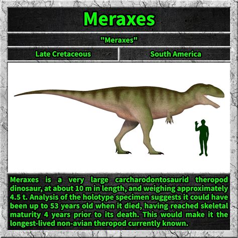 Carcharodontosaurus