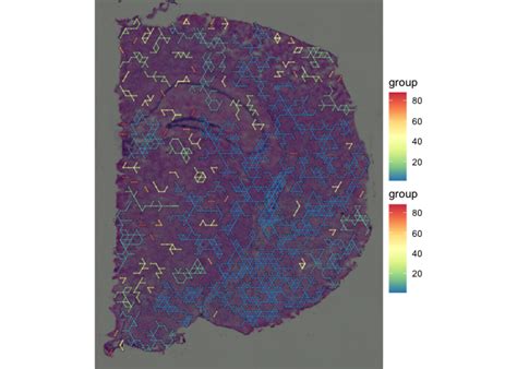 Spatial Transcriptomic Cell Cell Communication Analysis • Spatialccc