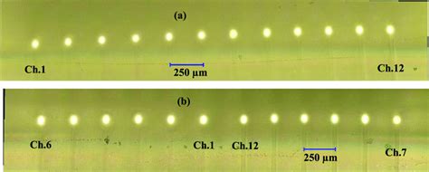 The Cross Sectional Photos Of The Crossover Multimode Waveguide A