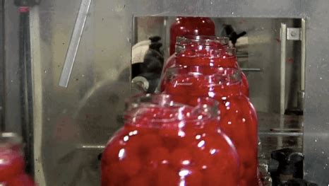 Carmine Is An Insect Derived Red Food Coloring That Comes From