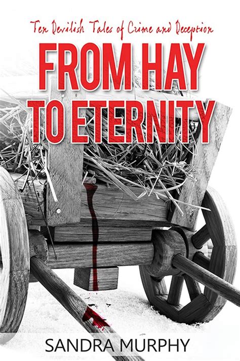 From Hay To Eternity By Sandra Murphy White City Press