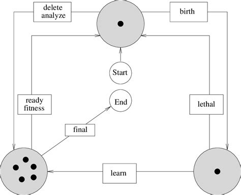 The Netgen System Consisting Of The Simple Genetic Algorithm Sga The