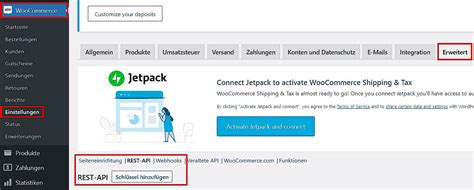 WooCommerce REST API Erklärung und Anleitung IONOS