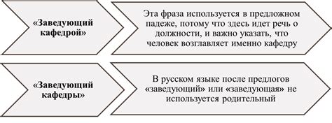 Заведующий кафедрой в ВУЗ Науч деятельность — Блог Магистр