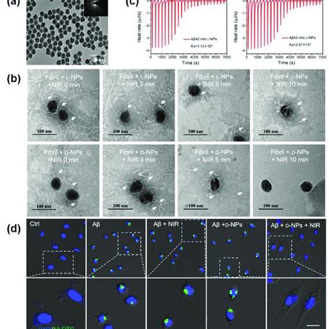 A Tem Image And Selected Area Electron Diffraction Pattern Of Chiral
