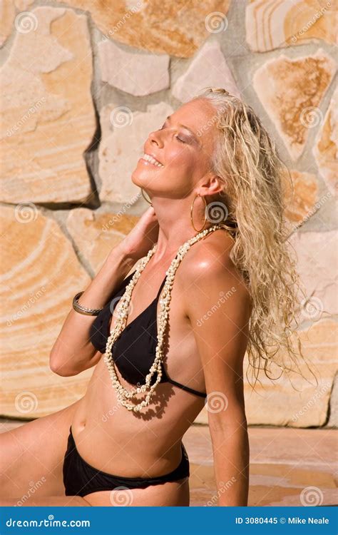 Happy Sun Bather Stock Image Image Of Classy Alluring 3080445