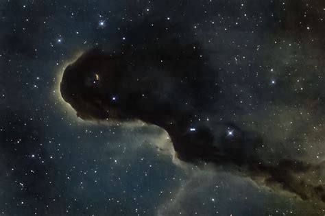 Elephant Trunk Nebula In Sho Telescope Live