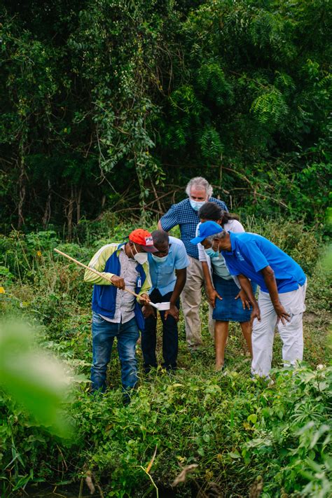 Integrated Elimination Programming