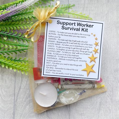 Support Worker Survival Kit Novelty T Fun New Job T Support Worker T Secret Santa