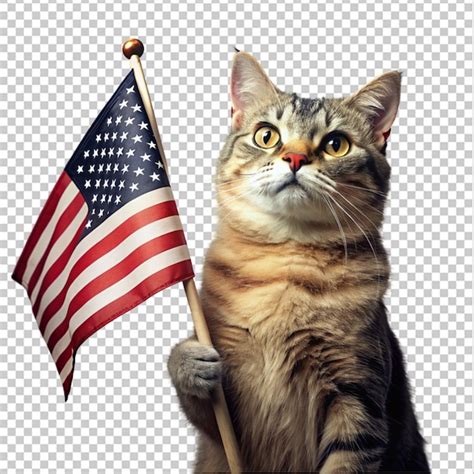 Premium Psd Cat Holding Usa Flag