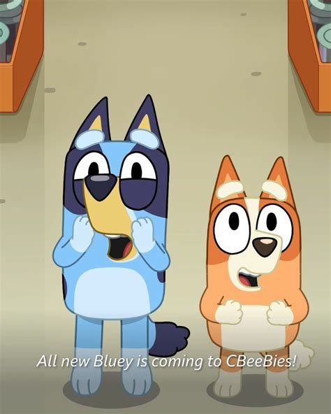Spot Bots Starts 3 October Funny To Watch Even More Fun To Play