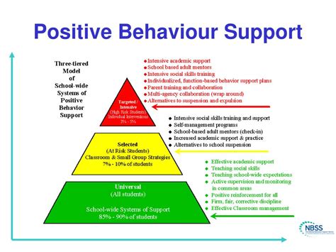Ppt Nbss Strategies For Developing Positive Behaviour Northsouth Conference 21 St August 2008