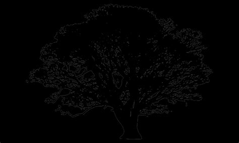 Visiting Grove Park — Grove Park Neighborhood Associantion